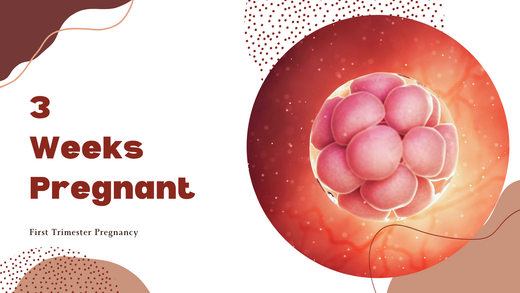 3 Weeks Pregnant: What to Expect in Early Pregnancy