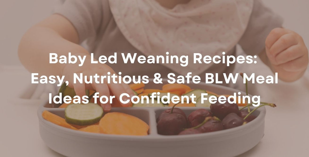 Baby Led Weaning Recipes: Easy, Nutritious & Parent-Approved BLW Meal Ideas