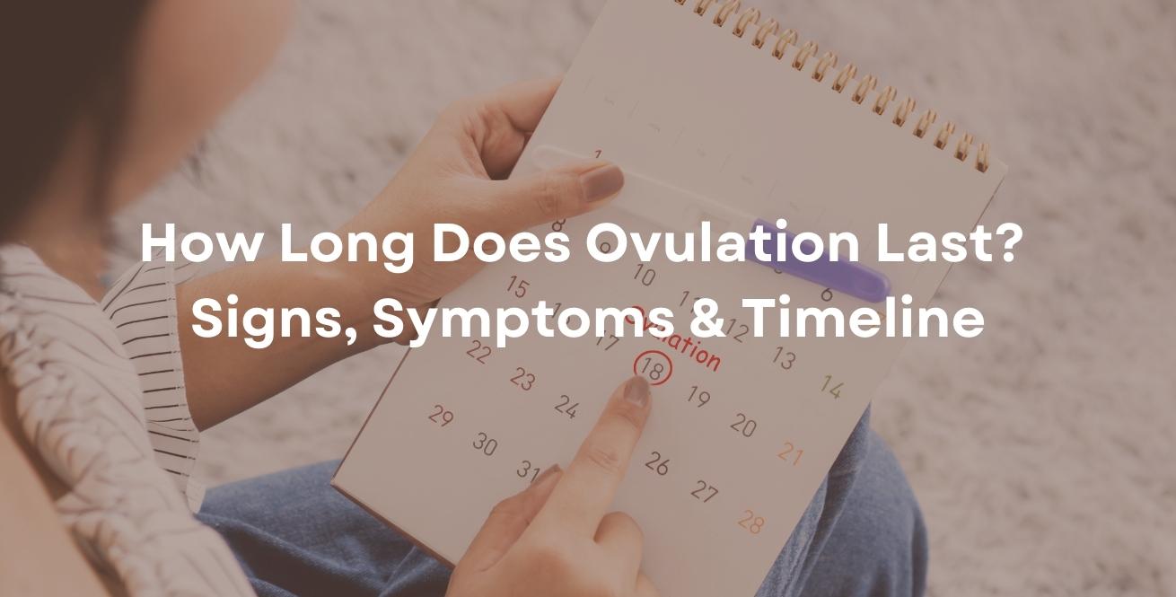 How Long Does Ovulation Last? Ovulation Explained